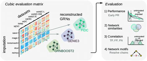 Systematic Evaluation Of Network Reconstruction From Imputed And Download Scientific Diagram