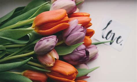 8 Signs An Avoidant Loves You How To Inspire More Of It Ncrw