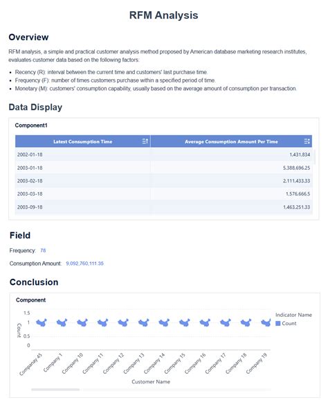 Analysis Document Overview Finebi Document
