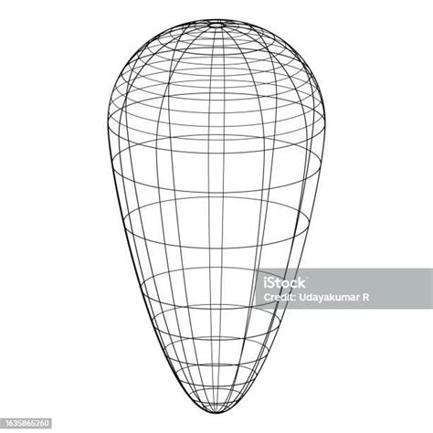3d 메쉬 그리드 네트 와이어 프레임 벡터 라인 그림 선 또는 메쉬 그리드 프레임의 3d 와이어프레임 또는 기하학적 네트워크