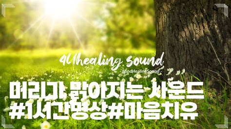 마음 치유 힐링 사운드 🎵 1시간 자연 명상음악 마음이 편안해지는 음악 새소리와 자연의 소리 Youtube