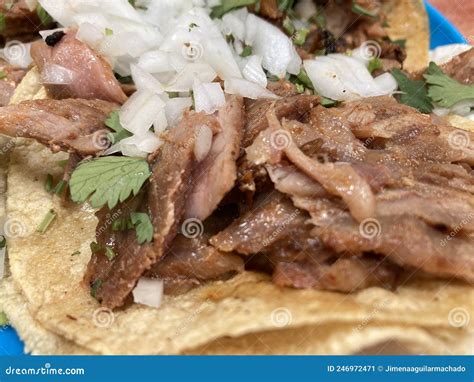 Mexican Suadero Meat Tacos For Dinner Stock Image Image Of Diner