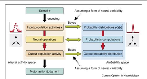 Figure 3 From Spiking Networks For Bayesian Inference And Choice