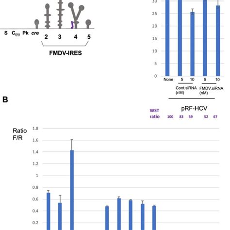 Alignment Of Fmdv Ires Sequences From Seven Fmdv Serotypes Alignment Download Scientific