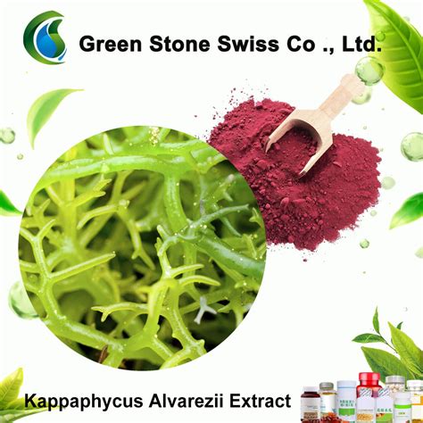 Kappaphycus Alvarezii Extract Buy Online Price Supply Manufacturer From Green Stone