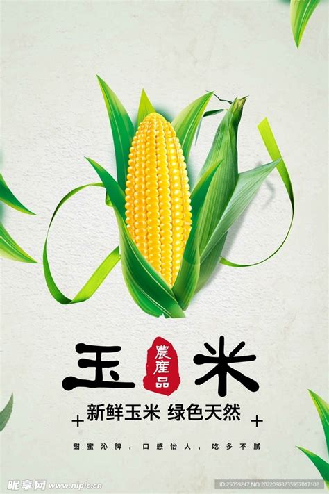 玉米设计图 展板模板 广告设计 设计图库 昵图网