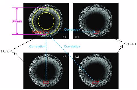 Principle Of Stereo Matching Of 3d Dic Images A1a2 Left Image