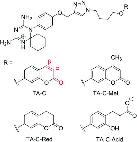 Structure Of Ta C And Tool Compounds Ta C Met Ta C Red And Ta C Acid