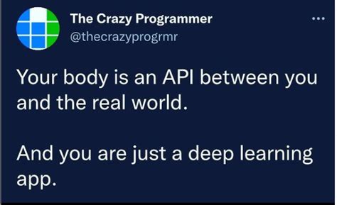 My Api Honors Your Api R Programmerhumor