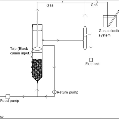 Pilot Scale Fluidized Bed Reactor Design Download Scientific Diagram