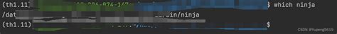 解决“ninja Is Required To Load C Extensions“ Csdn博客