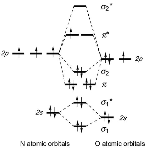 No Molecule