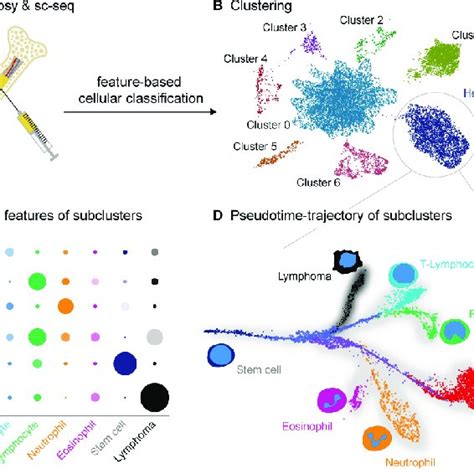 Workflow Of Single Cell Sequencing Sc Seq Data Analysis And Download Scientific Diagram