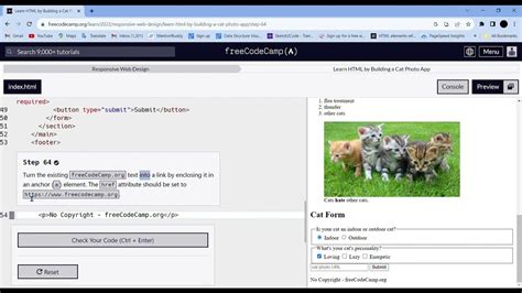 Learn Html By Building A Cat Photo App Step 64 Freecodecamp Youtube