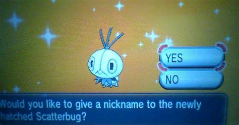 Shiny Scatterbug On The 16th Egg Imgur