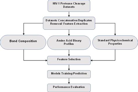 The Workflow Of The Models Building Methodologies Employed In The Study Download Scientific