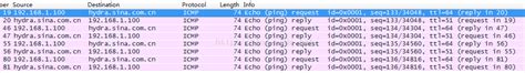 wireshark实战分析之ip协议（三） wareshark reply in csdn博客