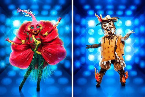 The Masked Singer Reveals Two More Season 10 Costumes Hibiscus Smore