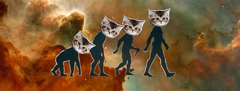 The Inverted Pyramid Of Code Programming Being An Exercise In By