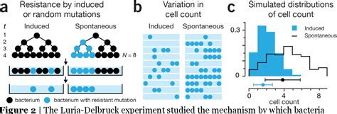 Figure 2 From Sampling Distributions And The Bootstrap Semantic Scholar