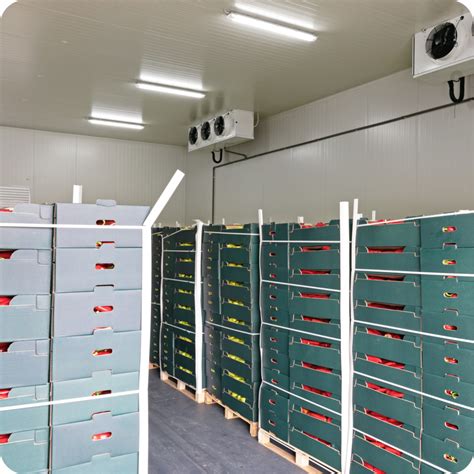 Temperature And Humidity Mapping Qualification And Validation