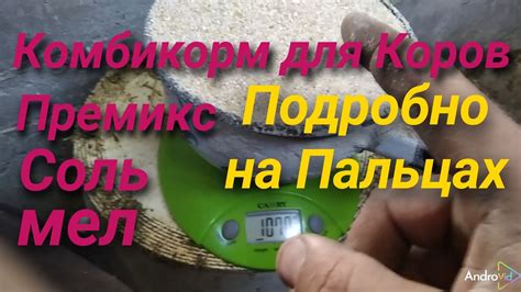 Про Кормление Дойных Коров Комбикорм,премикс,соль,мел!объясняю на ...