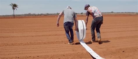 2inch Netafim Flexnet Pipe 50m 100m At ₹ 120 Meter In Wardha Id 23010002233