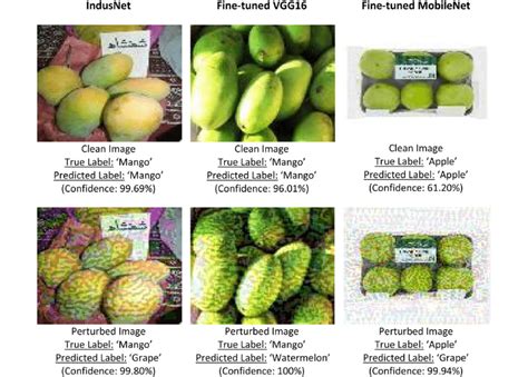 Examples Of Adversarial Attacks On The Three Proposed Cnn Models The