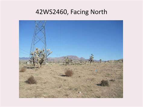 Ppt Preliminary Results Of The Unev Pipeline Project Xrf Obsidian