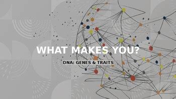DNA Genetics Notes By Taryn Beegle TPT