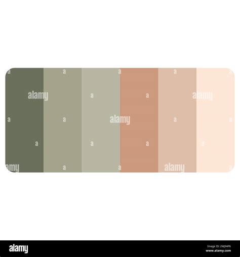 Vector Illustration With Palette Color Matching Color Palette Fashion Trend Color Guide