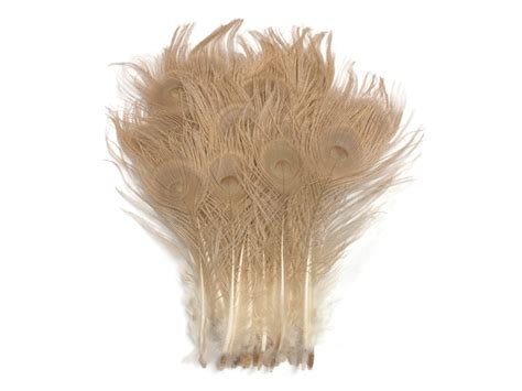 Real Peacock Feathers For Sale Moonlight Feather