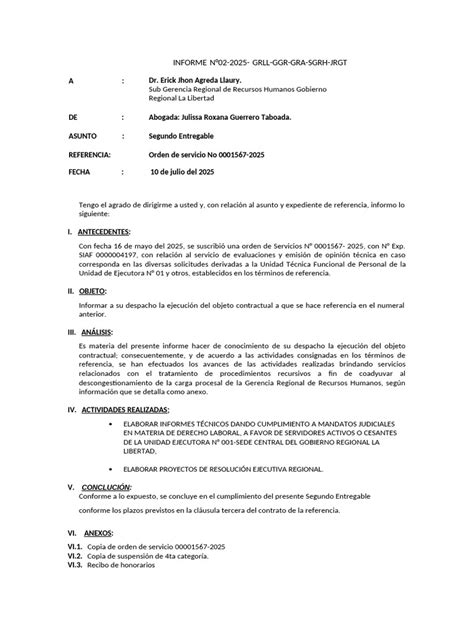 Informe De Ejecución De Servicios Jurídicos Pdf Gobierno Justicia