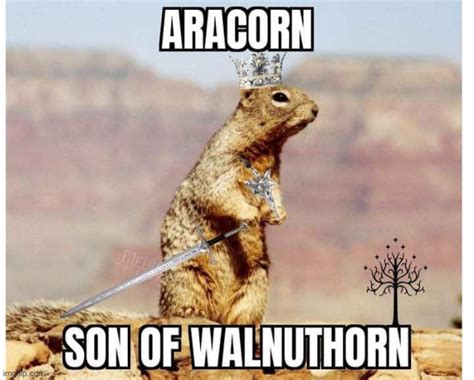 My Dad Sent Me This We Both Love Lotr Imgflip