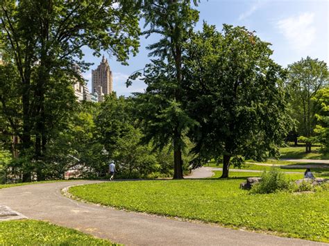 Seneca Village Central Park Conservancy