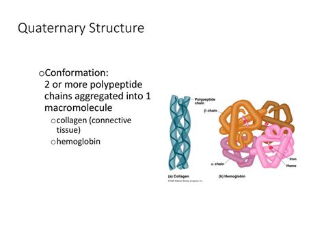 Biochemistry Unit Ppt Download