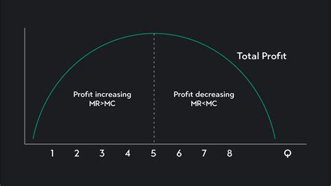Profit Maximizing Output In A Perfect Competition Outlier