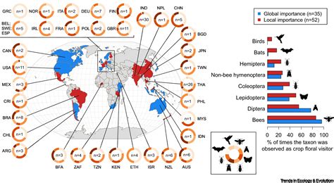 Bee And Non Bee Pollinator Importance For Local Food Security Trends