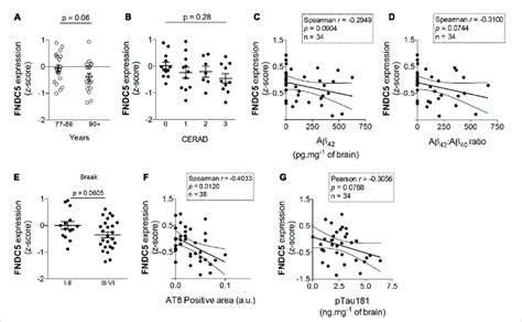 Fibronectin Type Iii Domain Containing Protein 5 Fndc5 Mrna Download Scientific Diagram