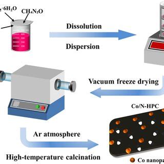 Schematic Diagram Of Co N HPC Synthesis Download Scientific Diagram