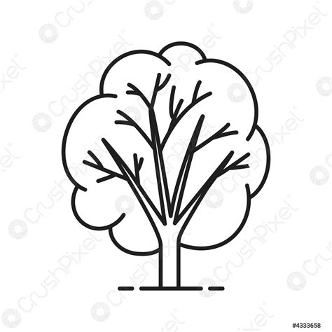 Tree Linear Icon Stock Vector 4333658 Crushpixel
