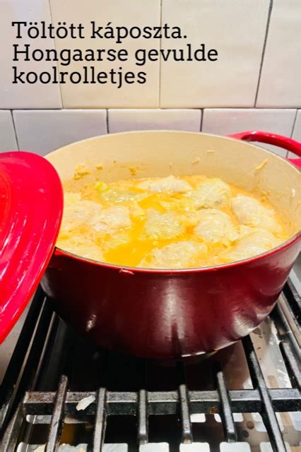Töltött Káposzta Hongaarse Koolrolletjes Aan Tafel Bij Anna