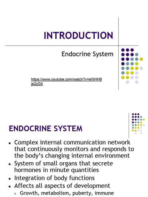 Endocrine System Pdf