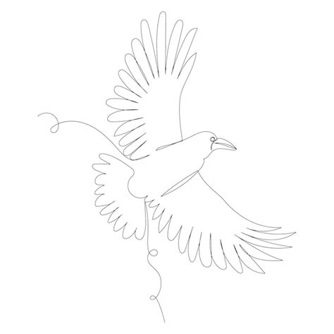 Premium Vector Raven Flying One Continuous Line Drawing Sketch