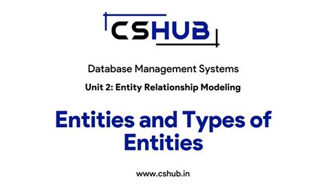 entities and types of entities database management systems