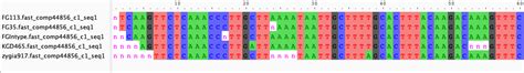 Alignment Bioinformatics RBGE Documentation
