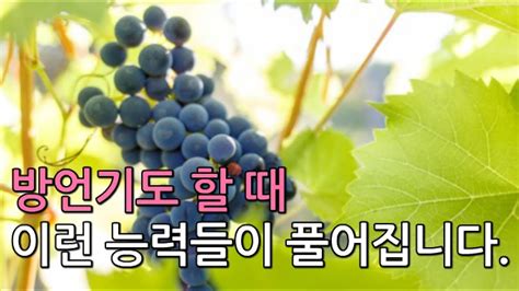 방언기도할 때 이런 능력들이 풀어집니다 Youtube