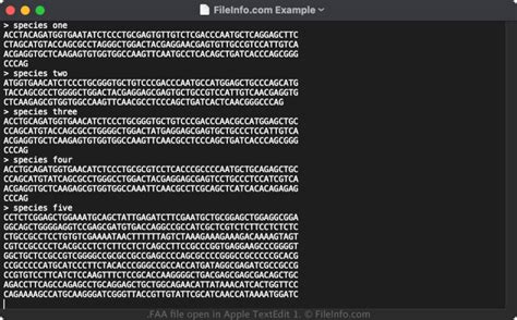 Faa File What Is A Faa File And How Do I Open It