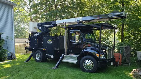 Tree Trimming Pruning New Windsor NY