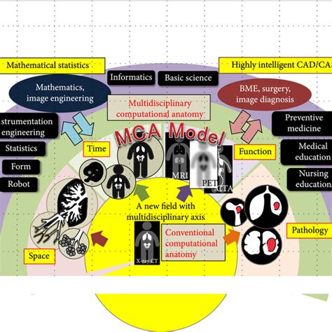 a new field of multidisciplinary computational anatomy a variety of